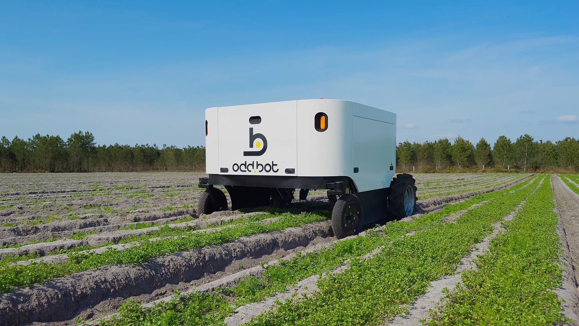 Odd.Bot - Mechanical Weeding Robots
