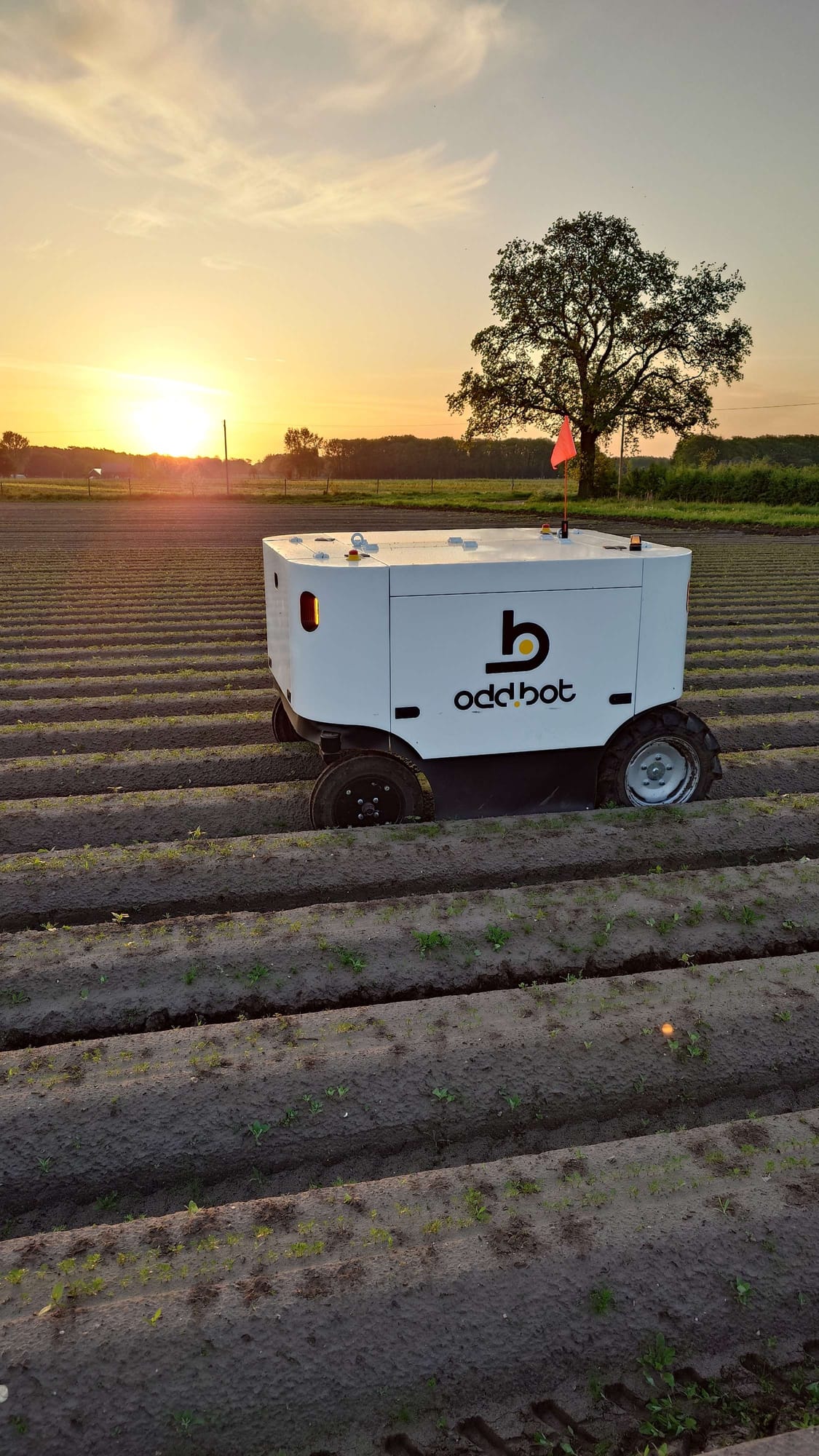 Odd.Bot - Mechanical Weeding Robots
